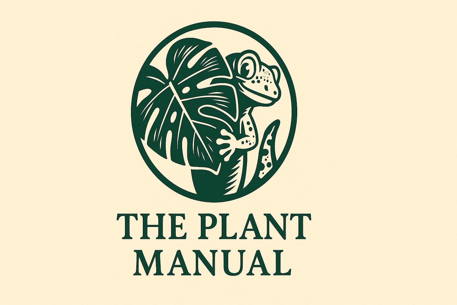 How to Propagate Monstera: 5 Simple Steps for Free Plants